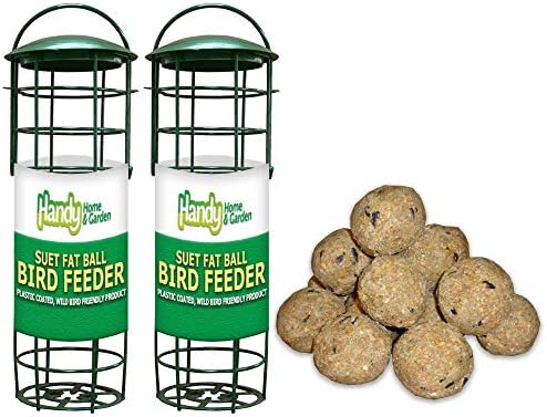 Green Jem Plastic Fat Ball Wild Bird Feeder, Easy to Fill and Clean ...