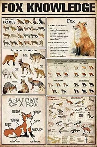 Amazon.com: Fox Canvas Wall Art Painting Fox Knowledge Anatomy Of A Fox ...