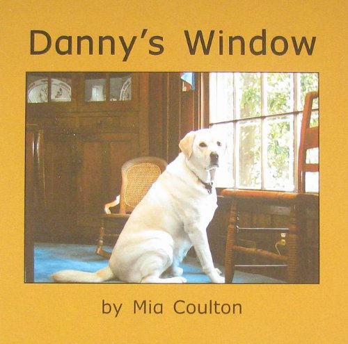 Danny s Window (Danny Danny Danny): Coulton, Mia: 9780974647586: Amazon ...