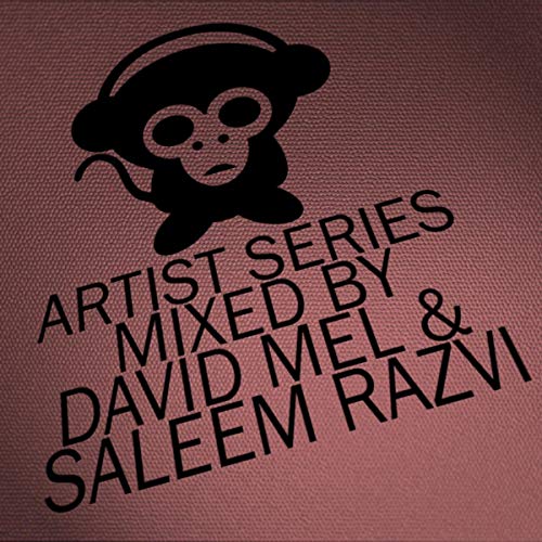 The Spirit (Club Mix) song by DJ Synchro from Housepital Artist Series ...
