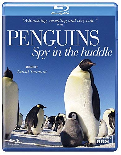 Amazon.com: Penguin Spy in the Huddle : Movies & TV