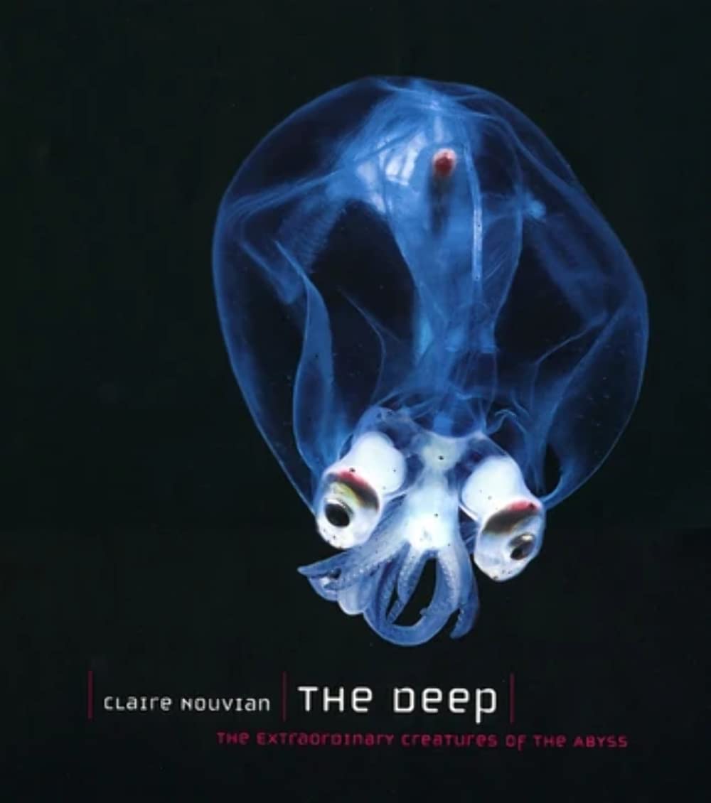 The Deep: The Extraordinary Creatures of the Abyss: Nouvian, Claire ...
