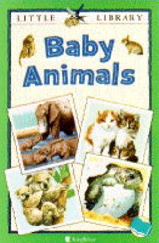 Baby Animals (Little Library (Blue Books)): Michael Chinery ...