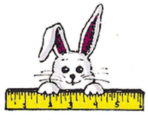 Center Enterprise C302 "Bunny Rules" Stamps: Amazon.com: Industrial ...