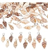 Amazon.com: PH PandaHall 1400-1500pcs Tiny Sea Shells 7-12mm Tiny ...