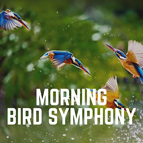 Amazon Music - Bird Sounds, Nature & Sounds Backgrounds & Swedish ...
