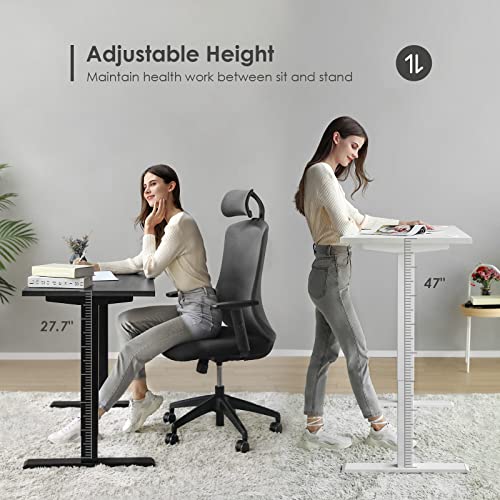 Snapklik.com : Sunon Smart Advanced Standing Desk, Dual Motor Electric ...