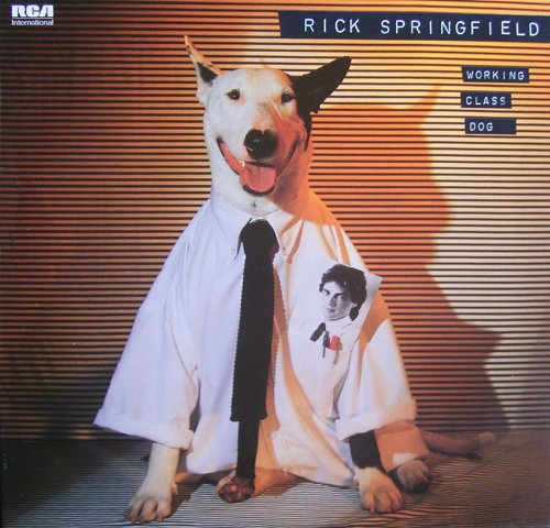 Working class dog / Vinyl record : Rick Springfield: Amazon.es: CDs y ...