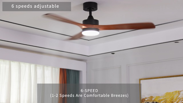 Watch The ceiling fan's product showcase on Amazon Live