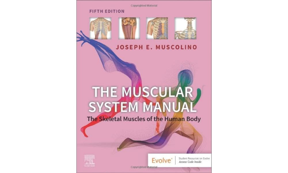 The Muscular System Manual: The Skeletal Muscles of the Human Body ...