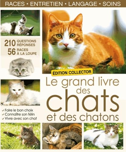 Amazon.com: grand livre des chats et des chatons (le) edition collector ...