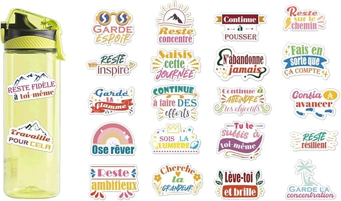 Amazon.com: Magictodoor French Inspirational Stickers: 202 Pieces of ...