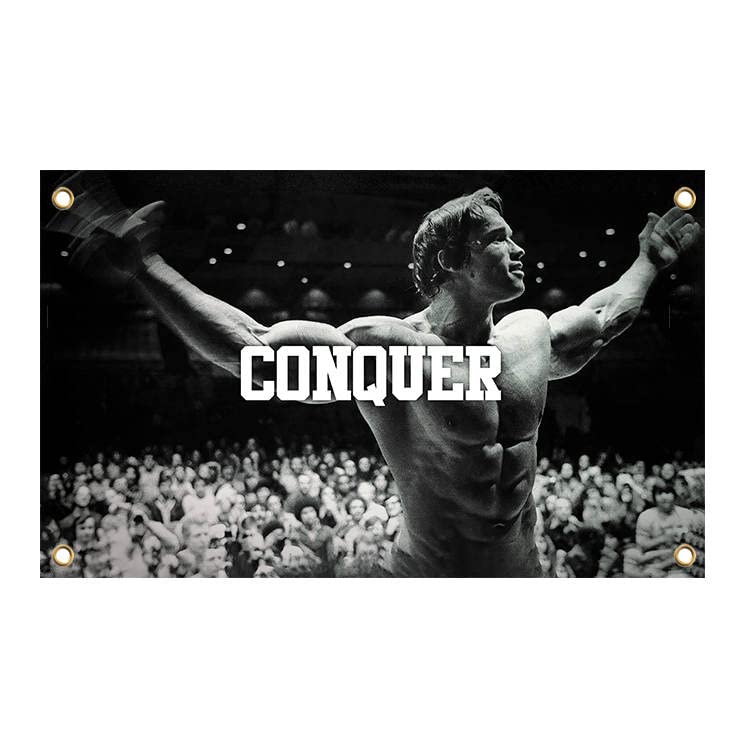 Arnold Schwarzenegger Conquer Poster