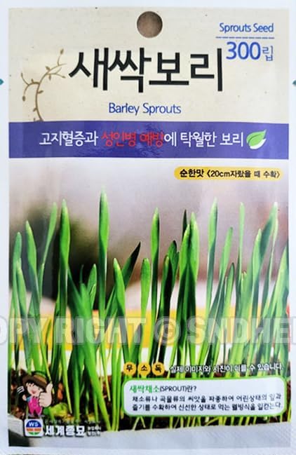 Amazon.com: Barley Sprout Seeds Korean, 1 Pack, 4 Grams (새싹보리) : Patio ...