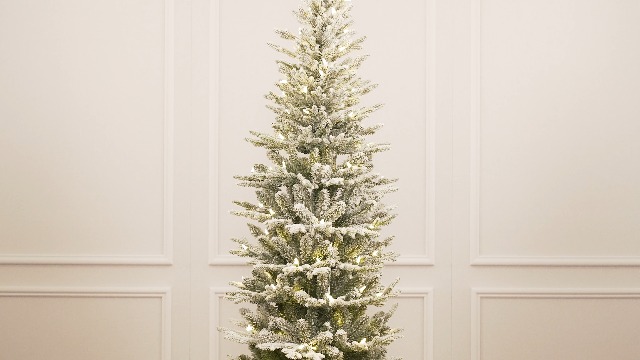 Watch Pre-Lit Potted Flocked Arctic Fir Pencil Christmas Tree on Amazon ...