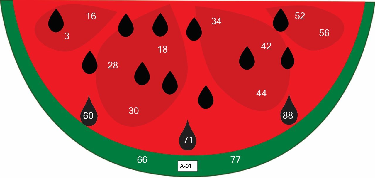 Watermelon Printed Tambola Ticket : Amazon.in: Toys & Games