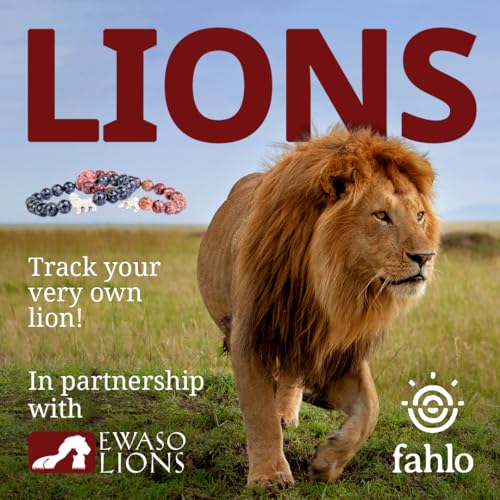 Fahlo Product Guide: 10 Best Things to Buy from Fahlo (May. 2026 ...