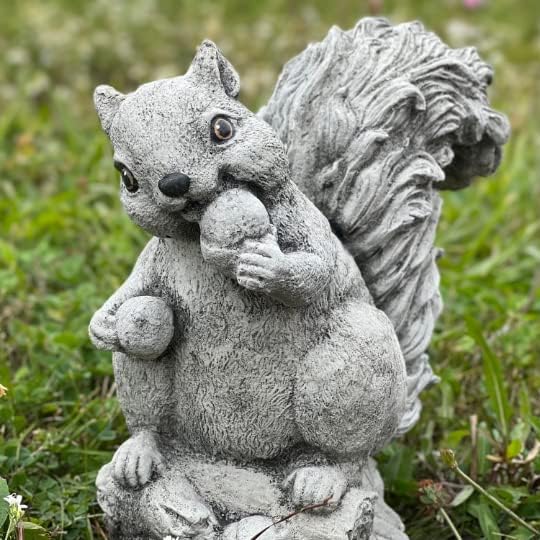 Amazon.com : Concrete Squirrel Statue for Garden Stone Squirrel ...