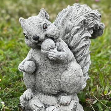 Amazon.com : Concrete Squirrel Statue for Garden Stone Squirrel Ornament Figurine for Squirrel ...