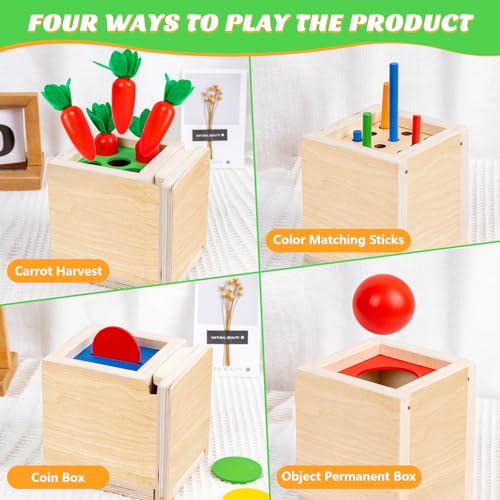 Montessori Toys for 3+ Year Old: 4 In 1 Wooden Toy| Ball Drop Toy,Coin ...