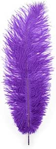 Amazon.com: Adult Supplies Feather Fun Tease Feather Toys Alternative ...