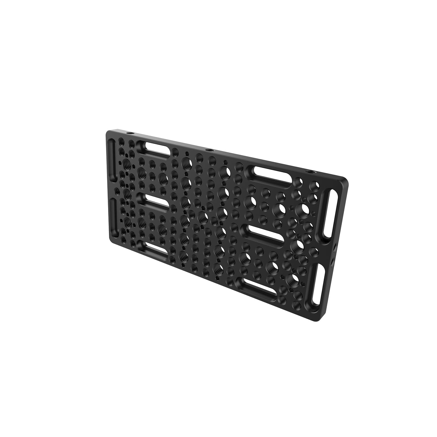 Amazon.com : DINESK Multi-Function Cheese Plate with 1/4 3/8 Threads ...