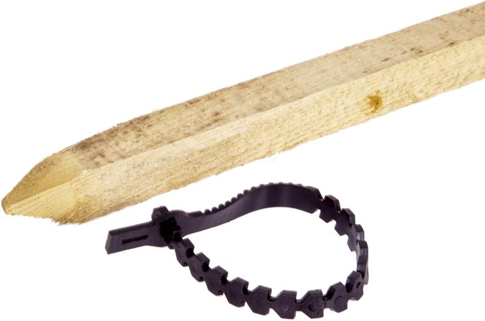 Tree Planting Kit - 1.2M Stake & Soft Tie (1 Tree) : Amazon.co.uk: Garden