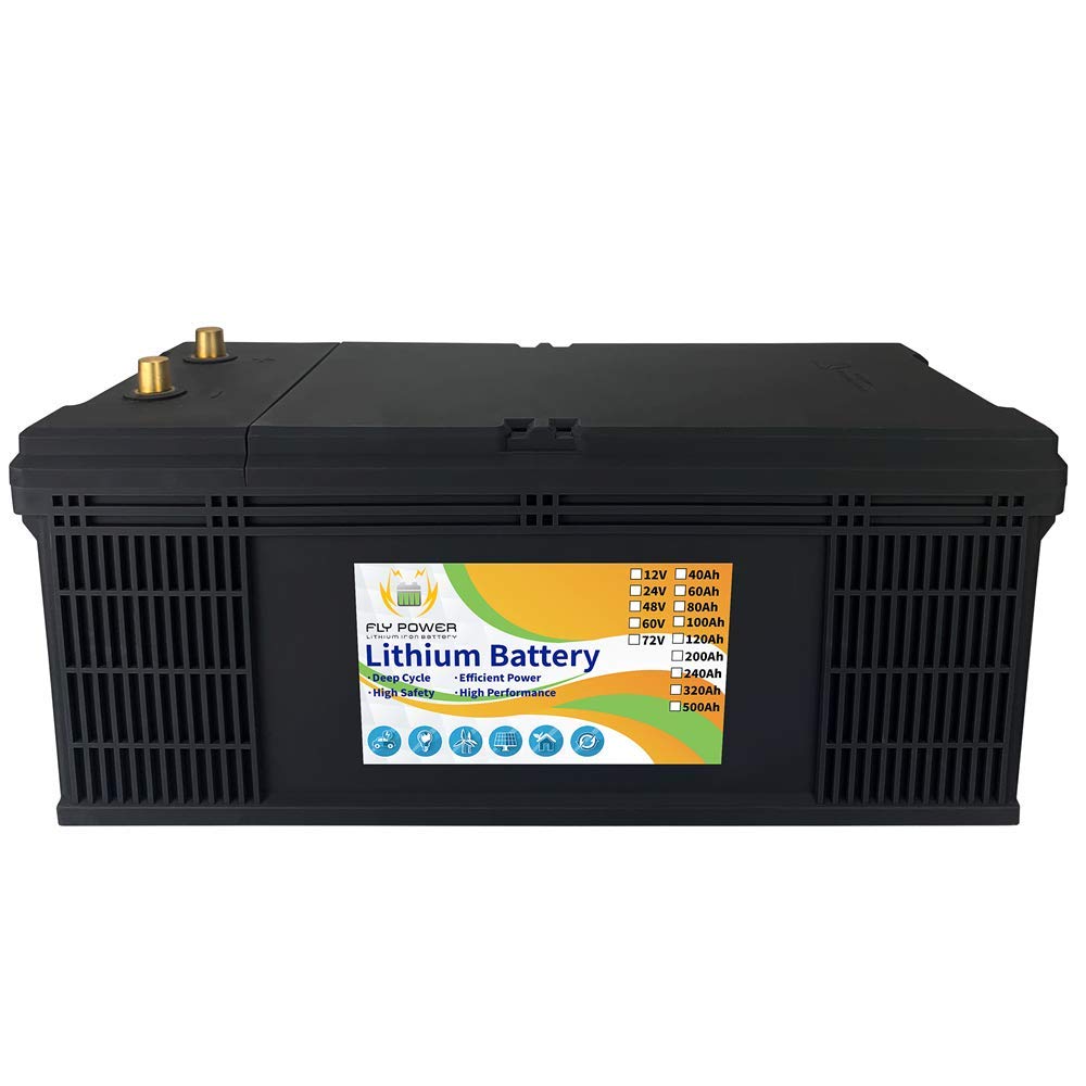 FLYPOWER 12v 240Ah LifePo4 Battery Up to 7000 Deep Cycles with BMS ...