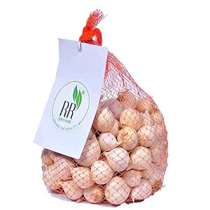 R R AGRO FOODS Single Clove Garlic 500 Gm (Single Piece Garlic/Fresh ...