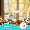 Amazon.com: PATIOSIR 4pack Food Fan for indoor Meals,Portable Food ...