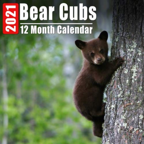Mini Calendar 2021 Bear Cubs: Cute Baby Bears Photos Monthly Small ...