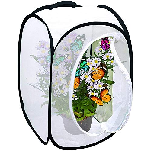 Snapklik.com : Foldable Butterfly Habitat, 24 Butterfly Cage For ...