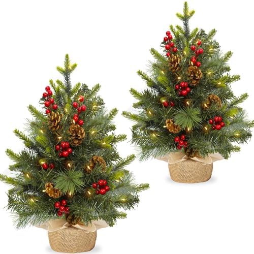 Amazon.com: 2 Pack 24 Inch /2FT Tabletop Christmas Tree, Snowy Flocked ...