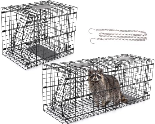 Amazon.com : 2-in-1 Live Animal Trap Cage, 32" Raccoon Large Trap ...