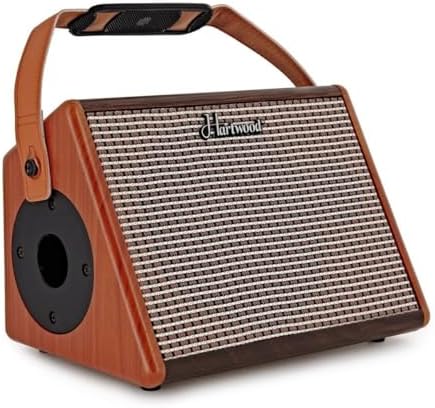 Coolmusic Portable Acoustic Guitar Amplifier, For Performers On The Go ...