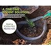 Amazon.com : VOLE KING Plant Baskets - Gopher and Vole Baskets, 5 ...