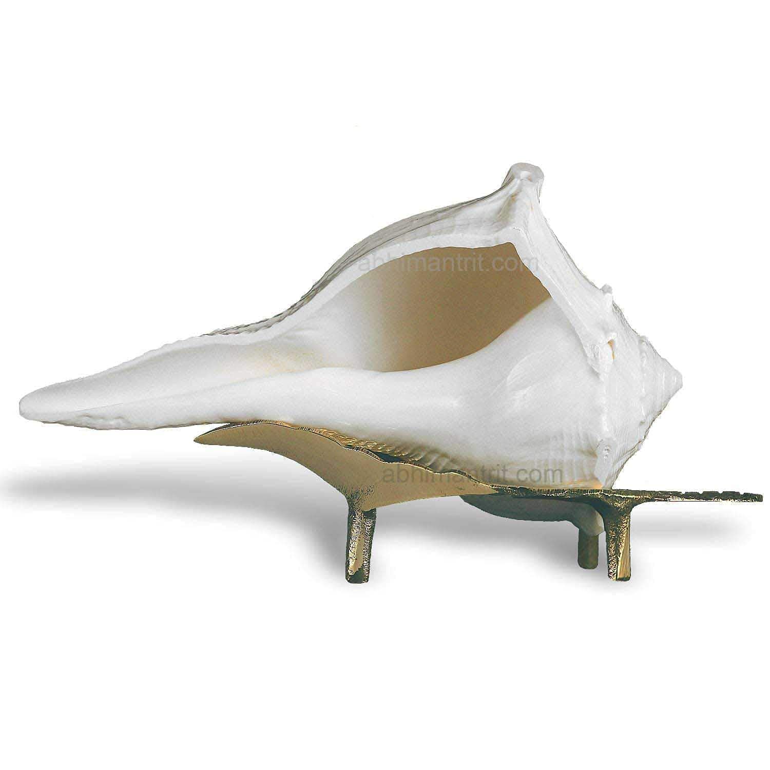 Buy Wook Dakshinavarti Shankh Original with Stand 4 inch Small Size ...