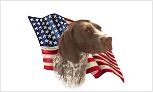 Amazon.com - GSP Flag Decal Vinyl Bumper Sticker 5"