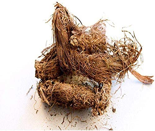 Buy HINDU GURU GOYAL JATAMANSI/SPIKENARD/NARDO/MUSKROOT (100 GRAM ...