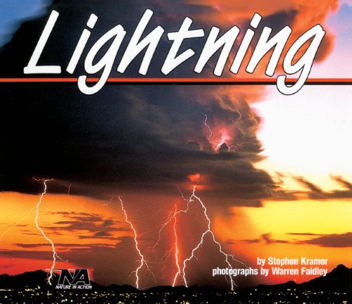 Lightning : Amazon.in: Books