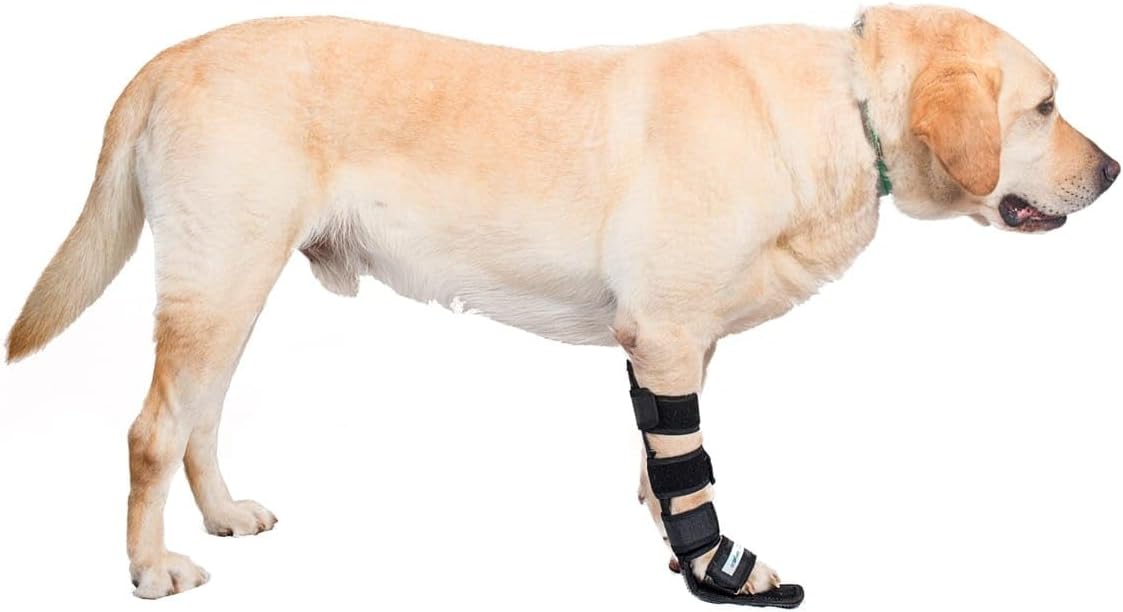 ORTOVETS | Férula Moldeable Flexible Perro o Gato Pata Delantera o ...