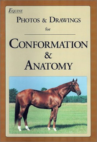 Equine Photos & Drawings for Conformation & Anatomy: Juliet Hedge ...
