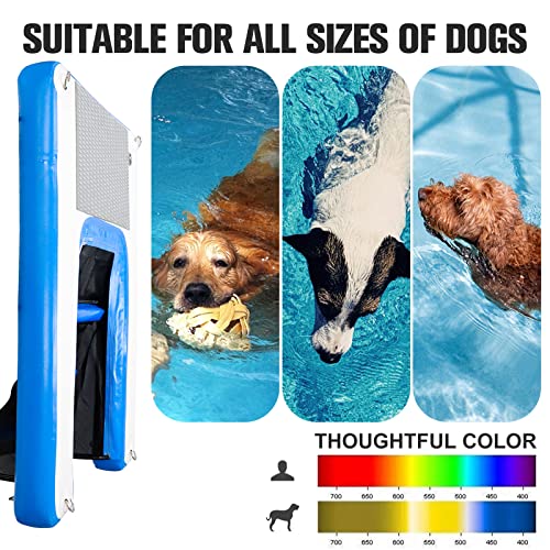 The 10 Best Dog Pool Ramps of 2024 [Verified] - Cherry Picks