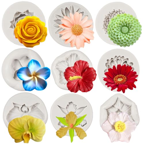 amazon.ae Best Sellers: The best items in Fondant & Gum Paste Molds ...