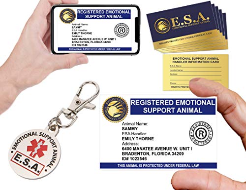 10 Must-Have Products for Your Registered Emotional Support Animal: A ...