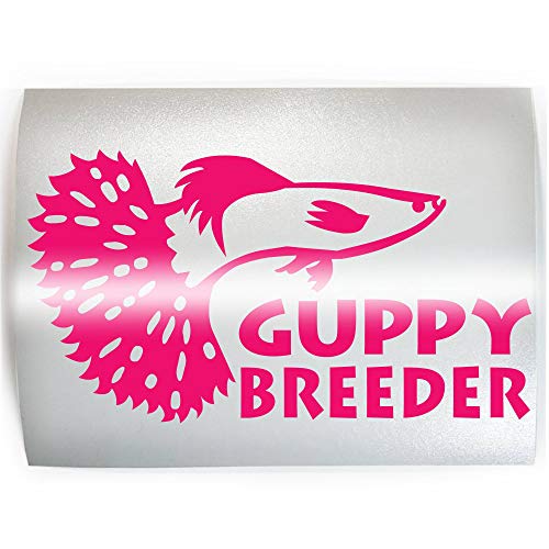 Amazon.com: GUPPY BREEDER - PICK COLOR & SIZE - Fish Aquarium Guppies ...
