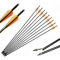 SHARROW 12pcs 31'' Flèches En Fibre De Verre Flèches De Sport Spine 500 ...