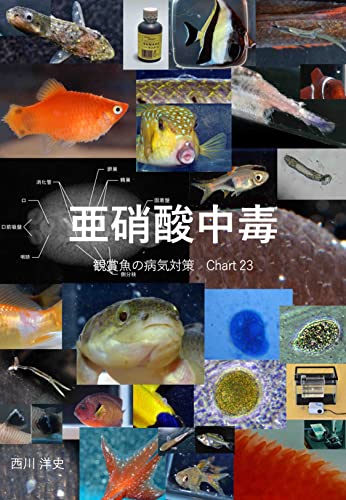 Nitrite poisoning Kansyougyonobyoukitaisaku (Japanese Edition) eBook ...