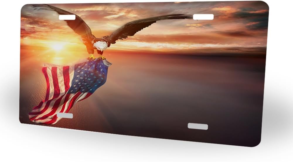 Amazon.com: HOSNYE License Plate Eagle with American Flag Front License ...