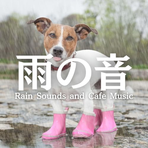 Play Free Rain Sound Download by BGM for work and study on Amazon Music